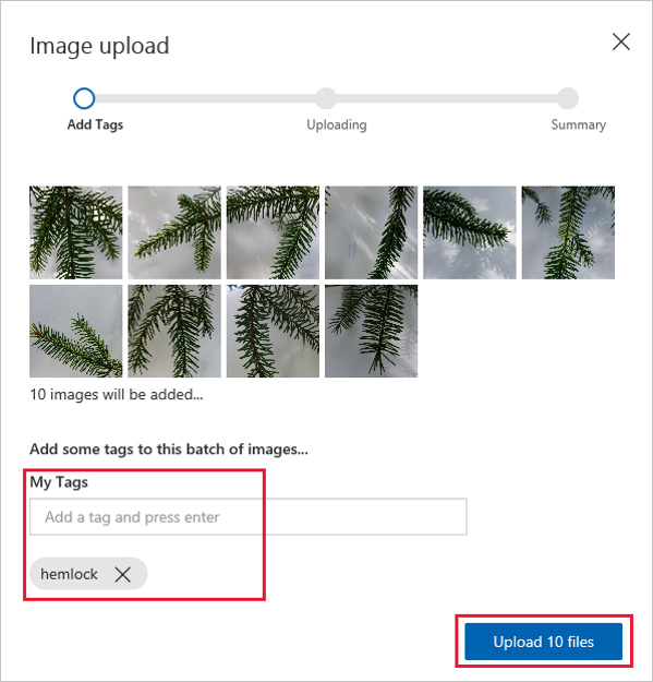 Tutorial Deploy Custom Vision Classifier To A Device Using Azure Iot Edge Microsoft Learn