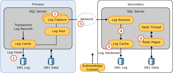 Monitor Performance For Availability Groups Sql Server Always On Microsoft Learn