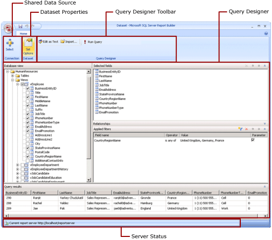 Shared Dataset Design View (Report Builder) - Microsoft Report Builder ... Shared Dataset Design View (Report Builder) - Microsoft Report Builder ...