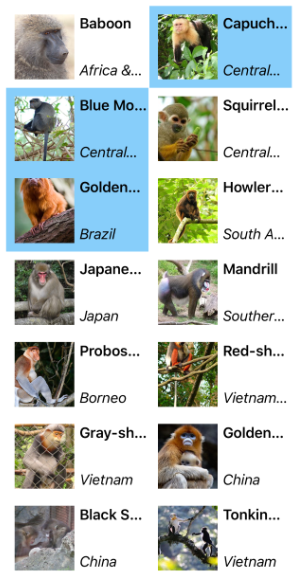 CollectionView - .NET MAUI | Microsoft Learn CollectionView - .NET MAUI | Microsoft Learn