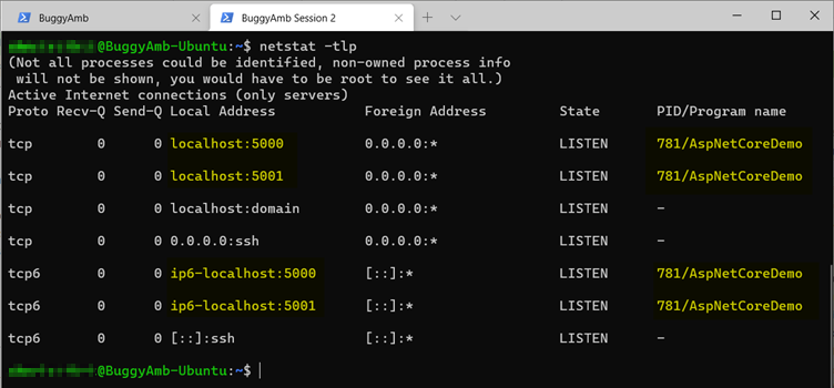 在 Linux 中创建和配置 Aspnet Core 应用程序 Aspnet Core Microsoft Learn